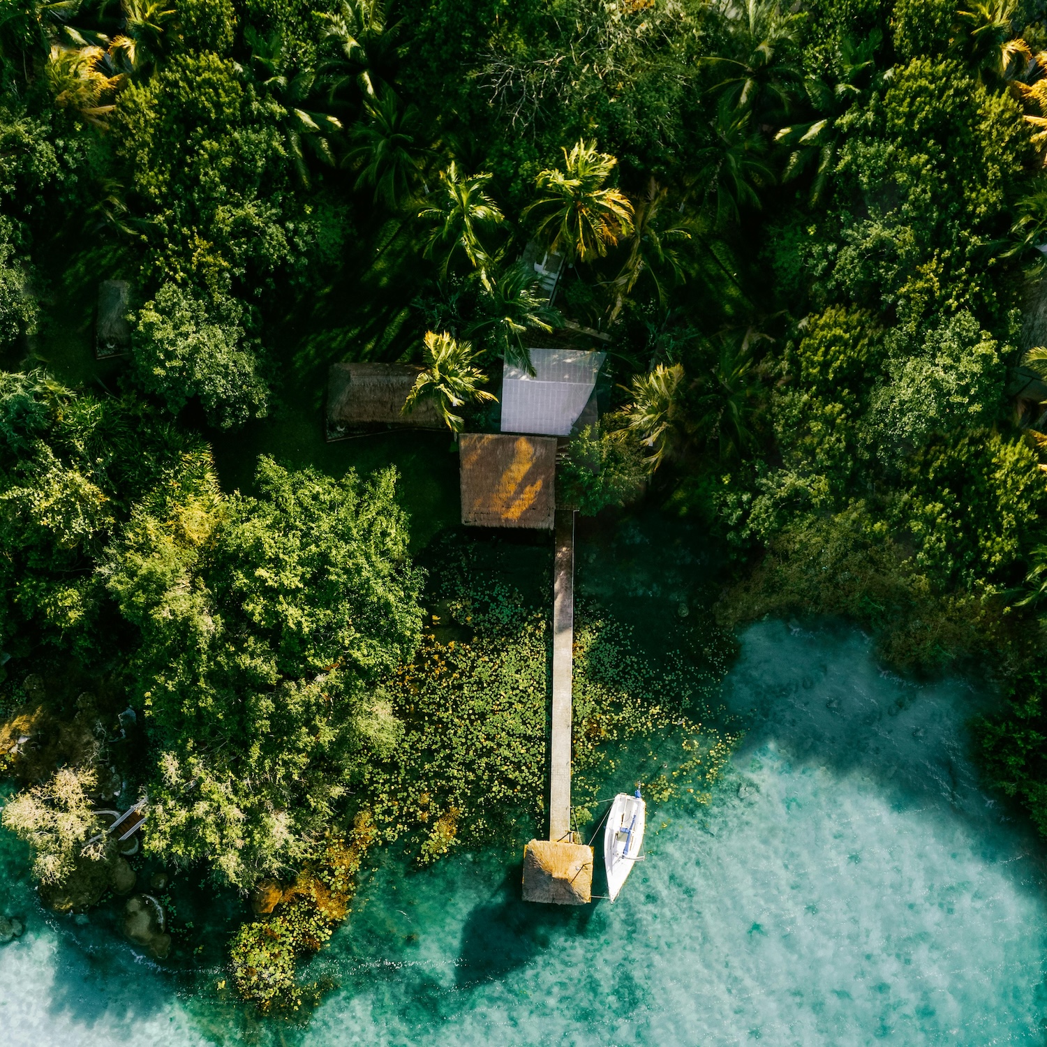 Bitland Tokenized Jungle