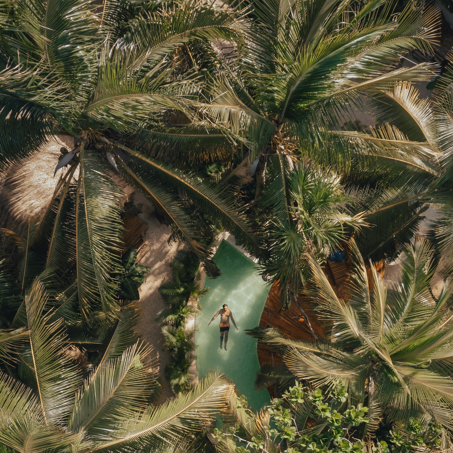 Bitland Tokenized Jungle